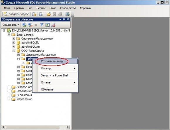 Как создать таблицу в базе данных MS SQL Server 2008